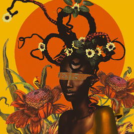 Apple Music - Apple (中国大陆)